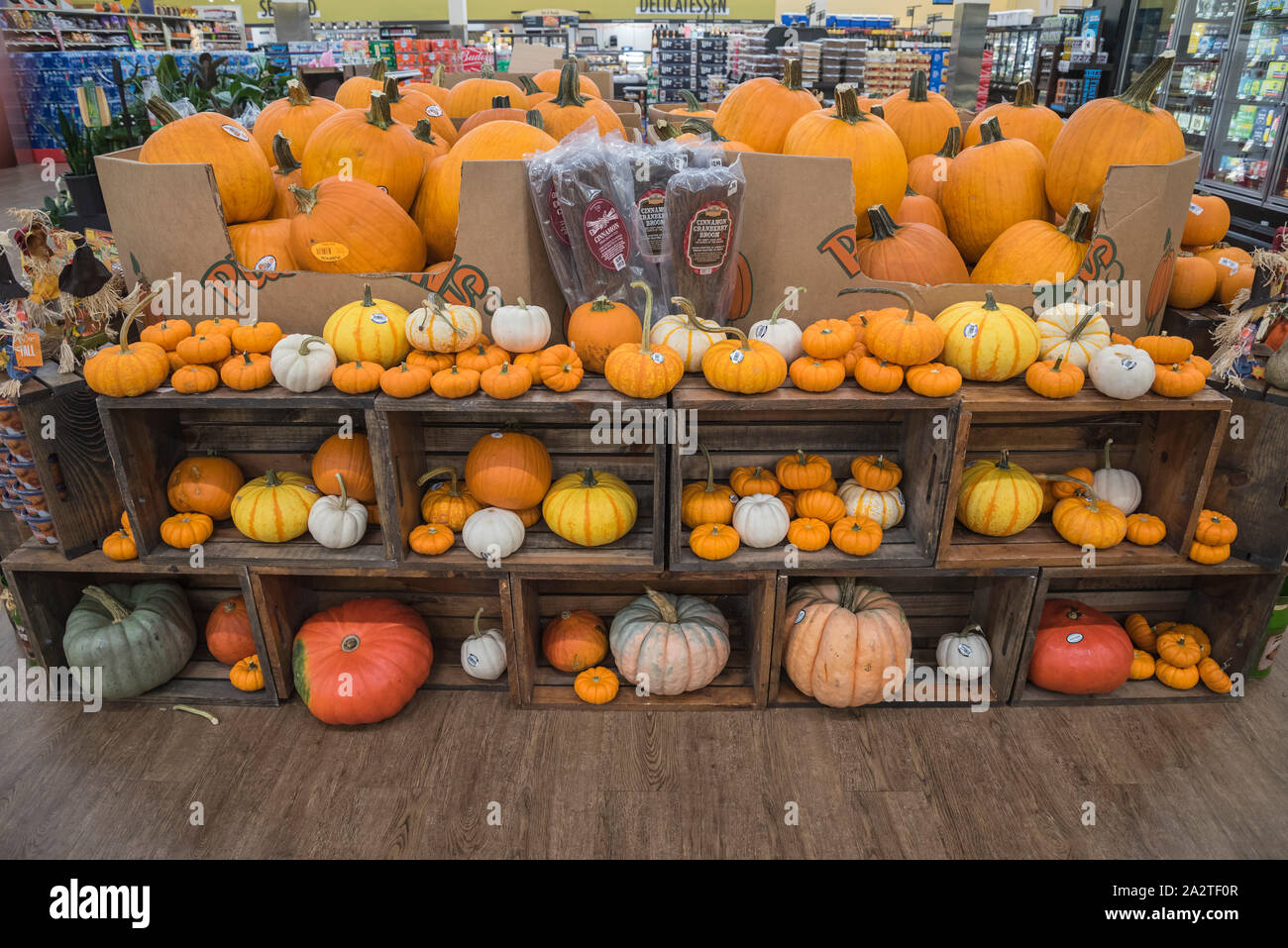 Fall pumpkins and gourds on sale in a supermarket Stock Photo - Alamy