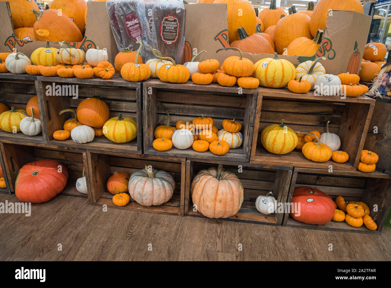 Edible pumpkins hi-res stock photography and images - Alamy