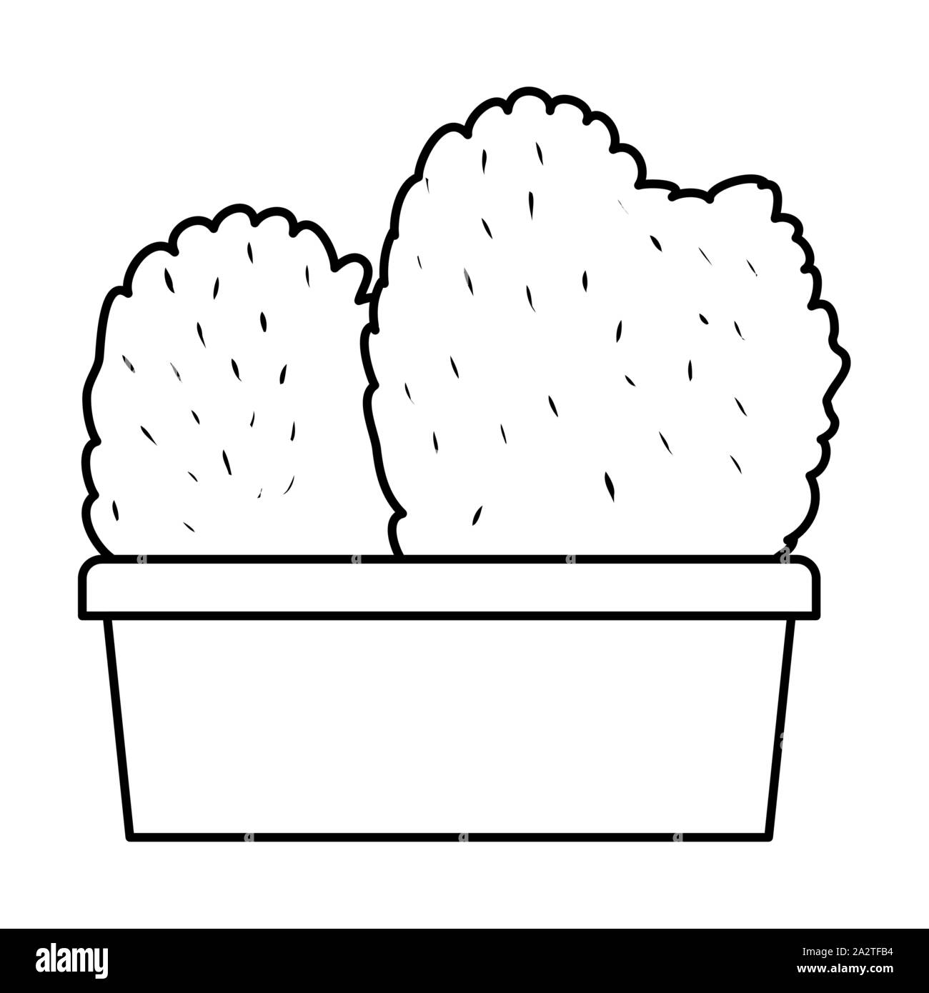 Plants in pots isolated Black and White Stock Photos & Images - Alamy
