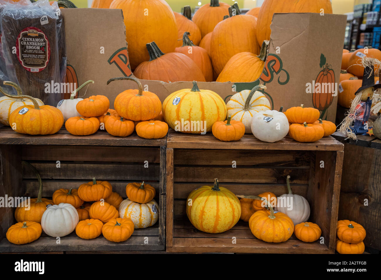 Fall pumpkins and gourds on sale in a supermarket Stock Photo - Alamy