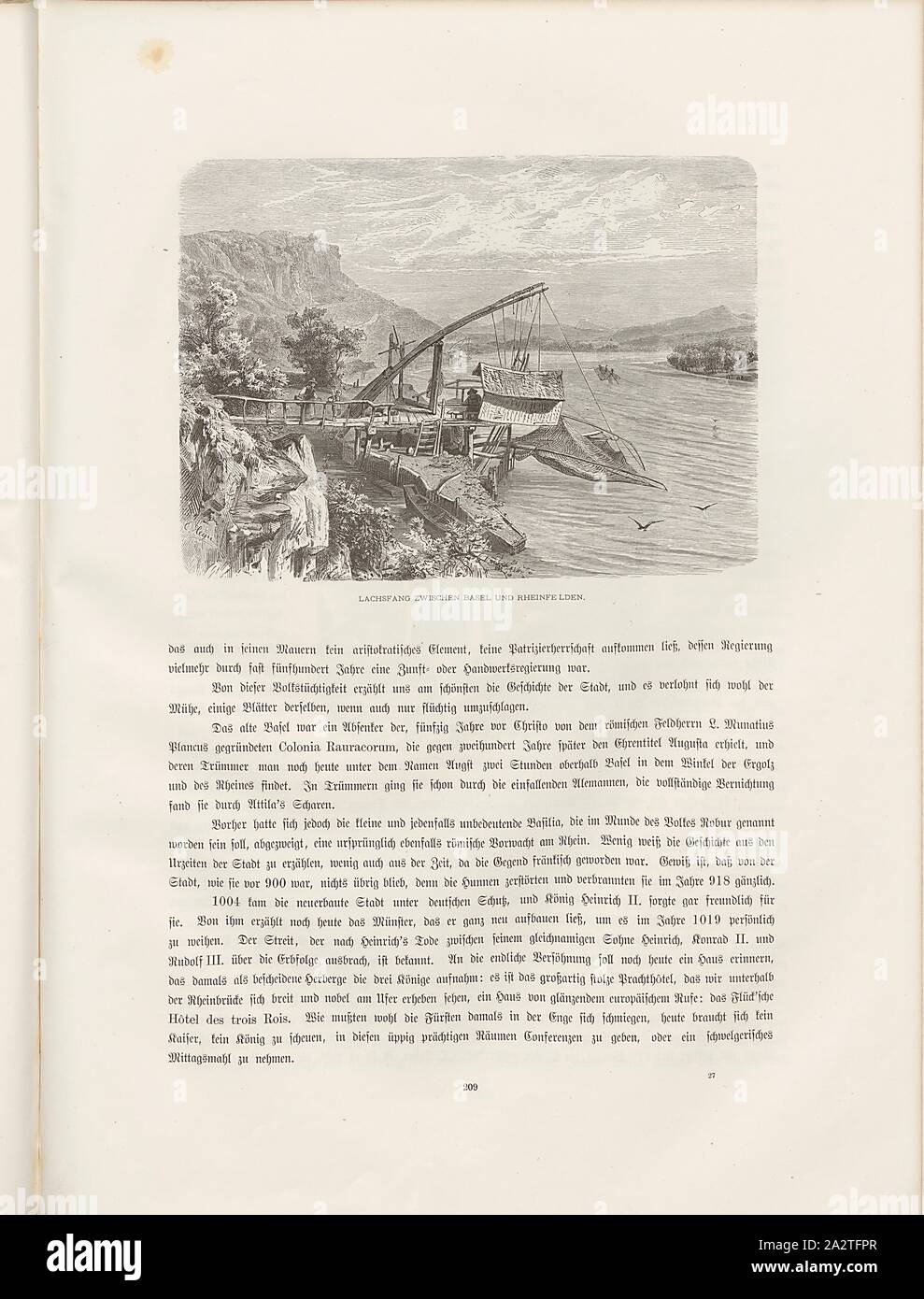 Salmon catch between Basel and Rheinfelden, Illustration of the salmon ...