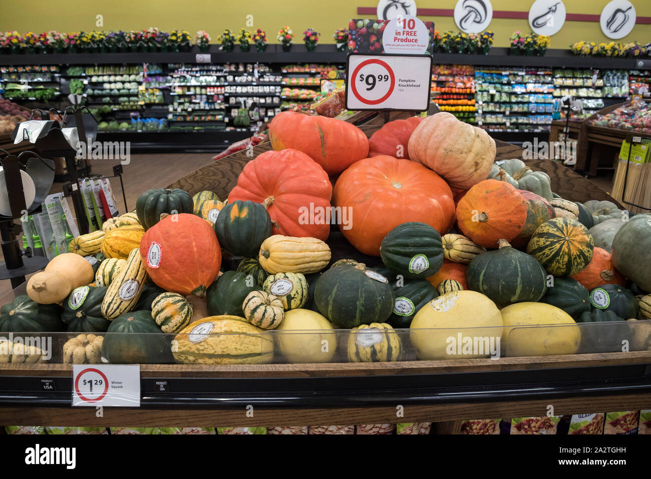 Fall pumpkins and gourds on sale in a supermarket Stock Photo - Alamy