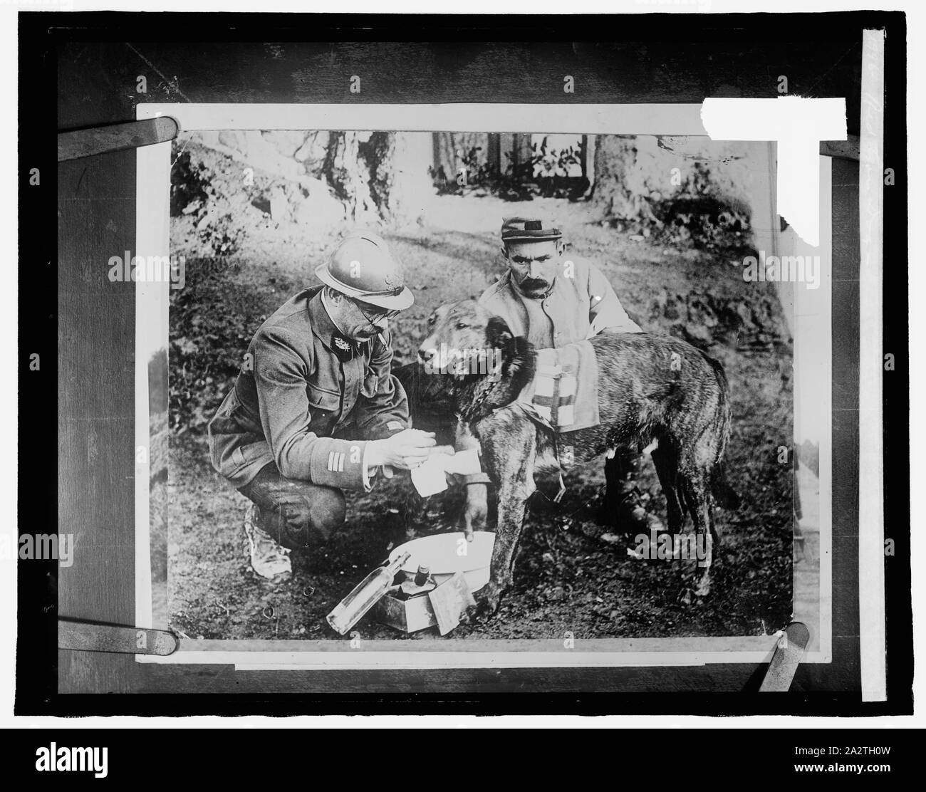 Dog supplies Black and White Stock Photos & Images - Alamy