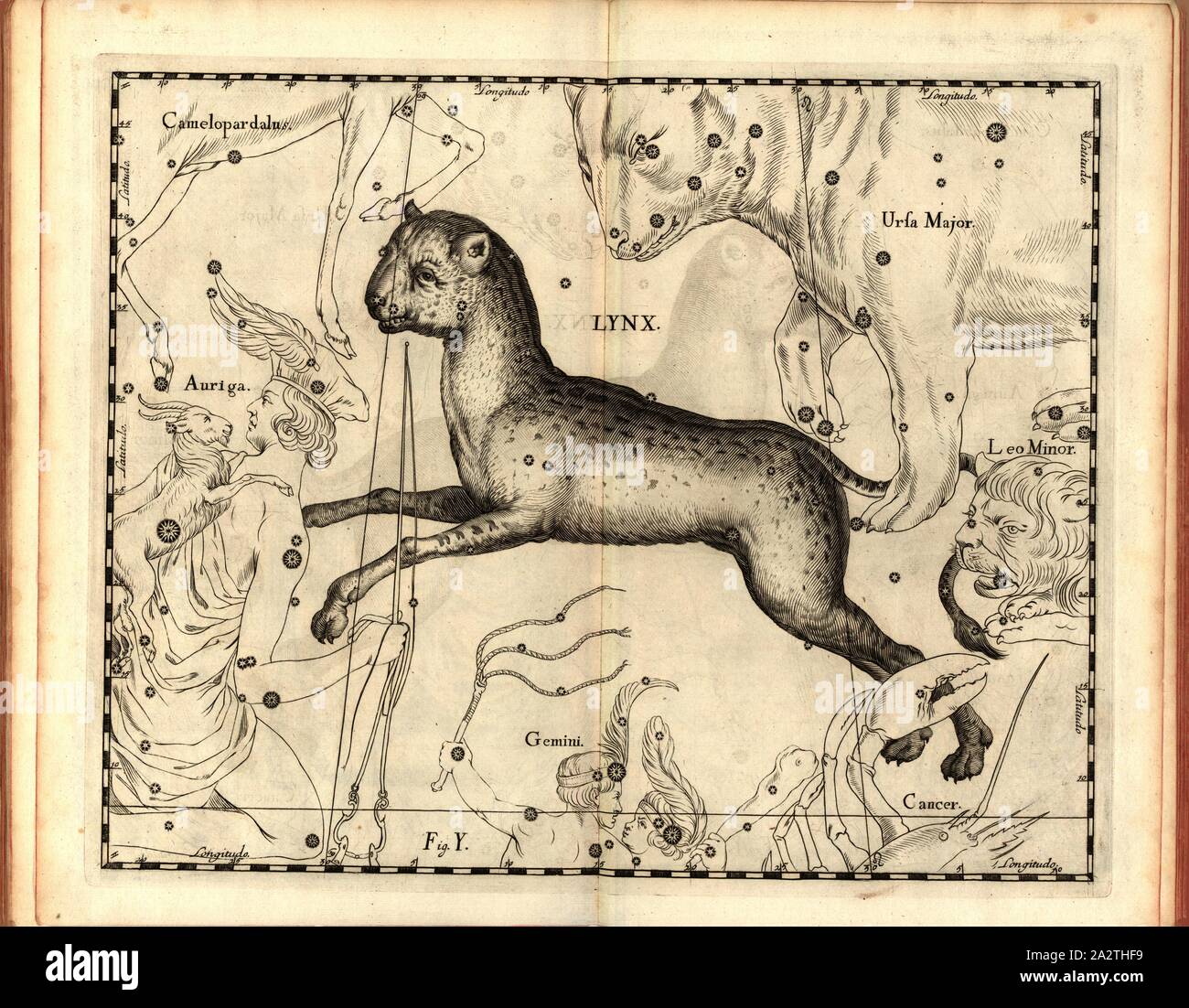 The lynx constellation hi-res stock photography and images - Alamy