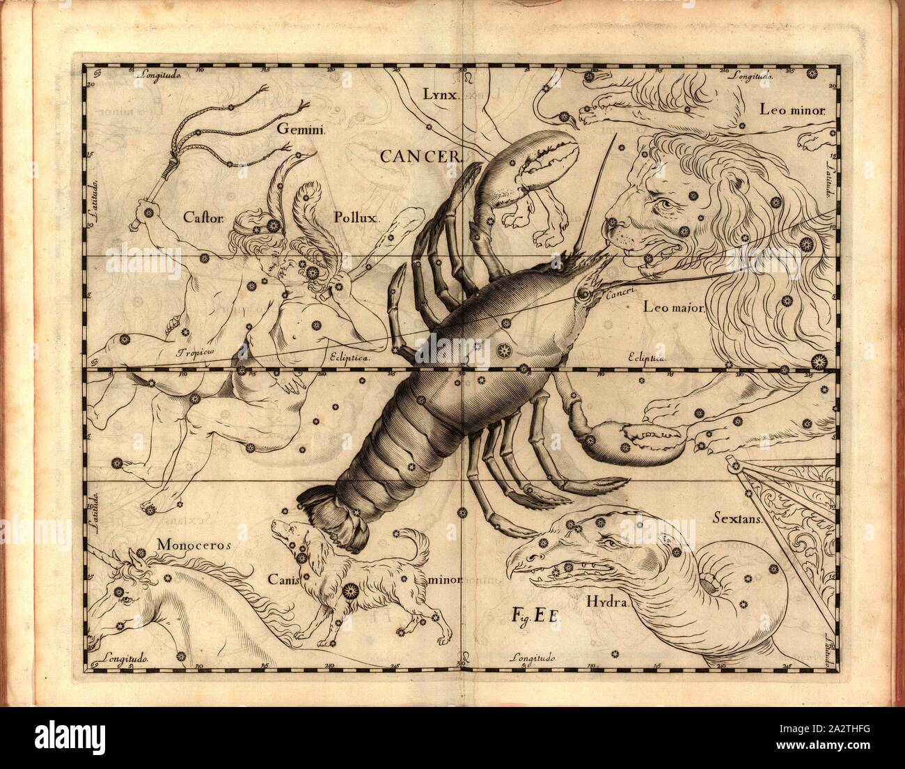 Cancer constellation map hi-res stock photography and images - Alamy