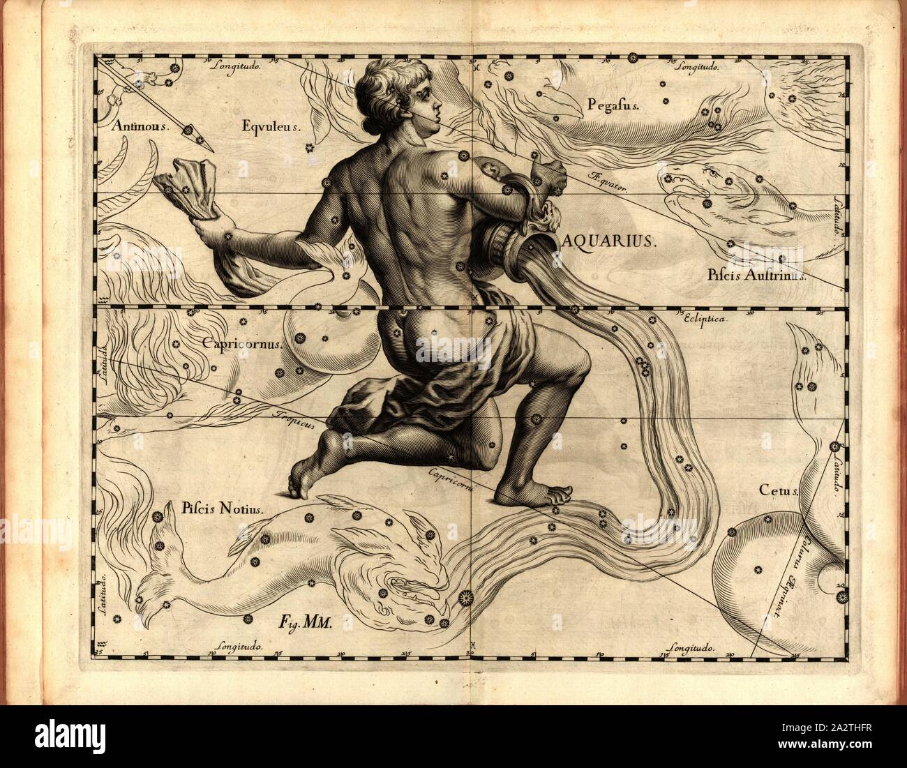 Aquarius constellation map hi-res stock photography and images - Alamy