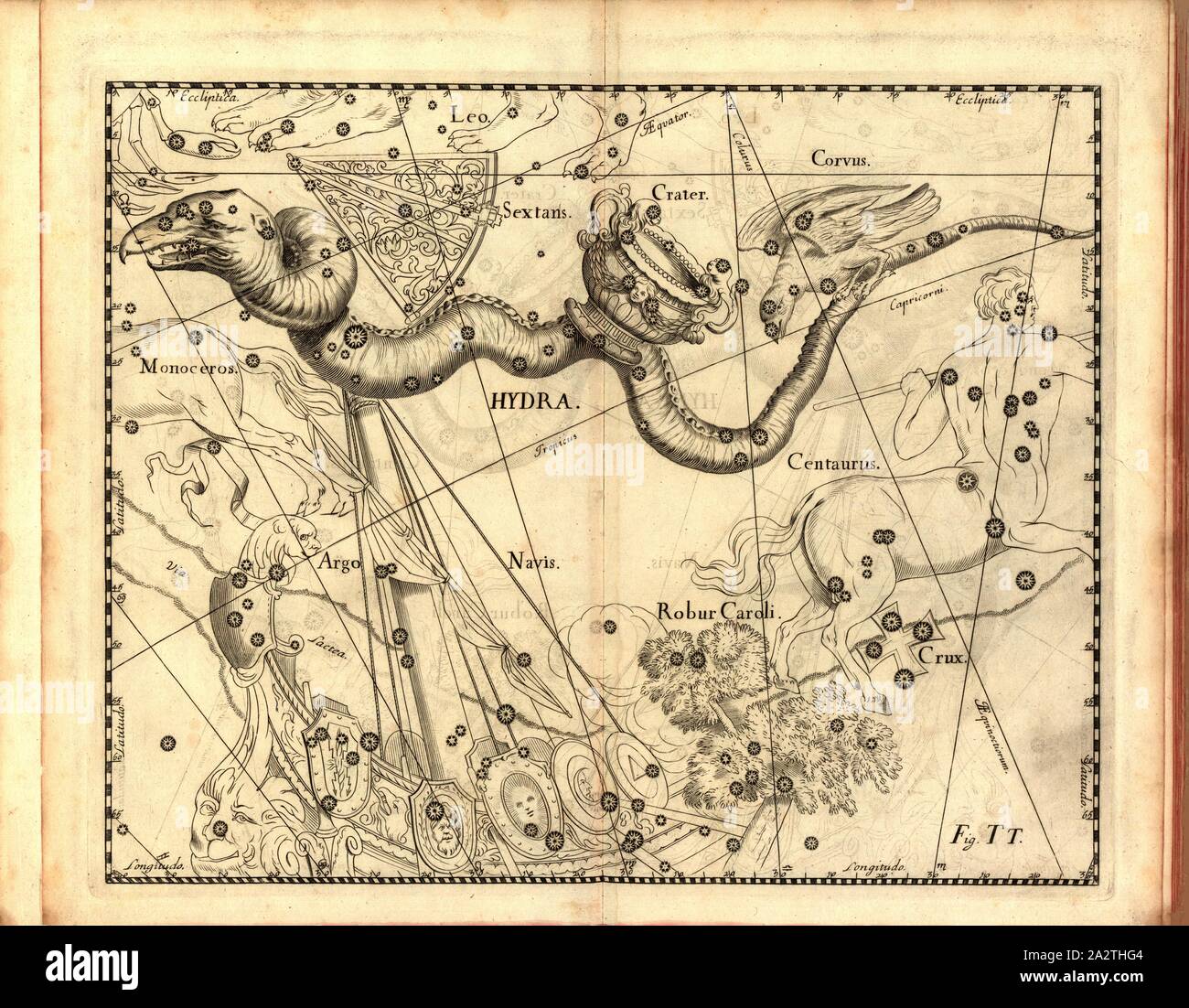 Fig tt hi-res stock photography and images - Alamy