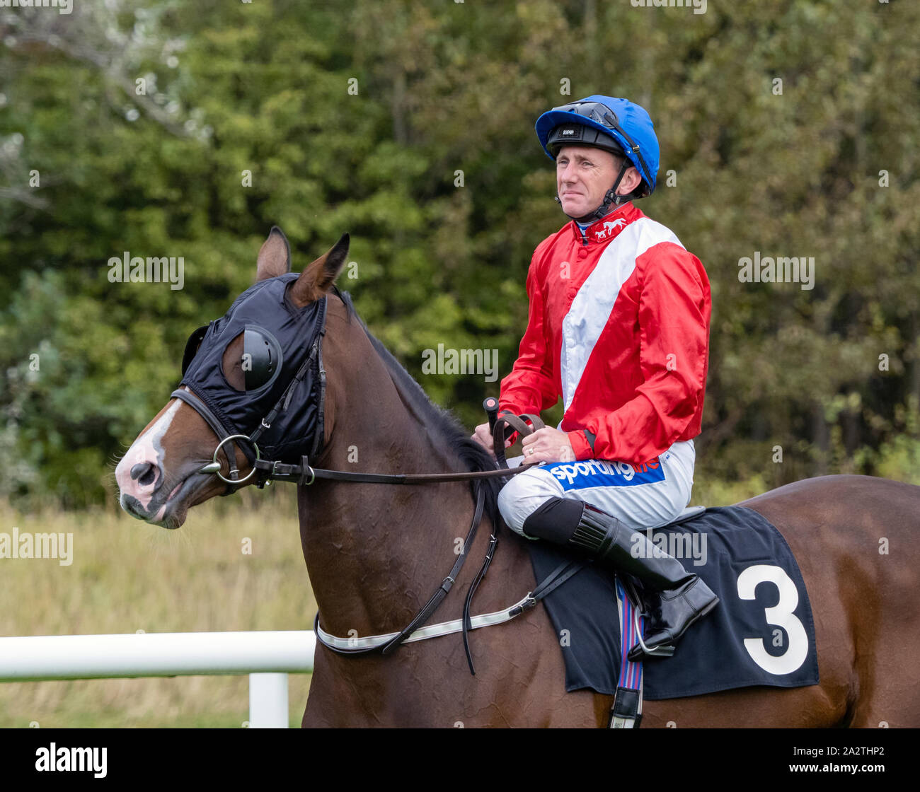 Jockey Paul Hanagan on Dance Diva, before the start of the Irish ...