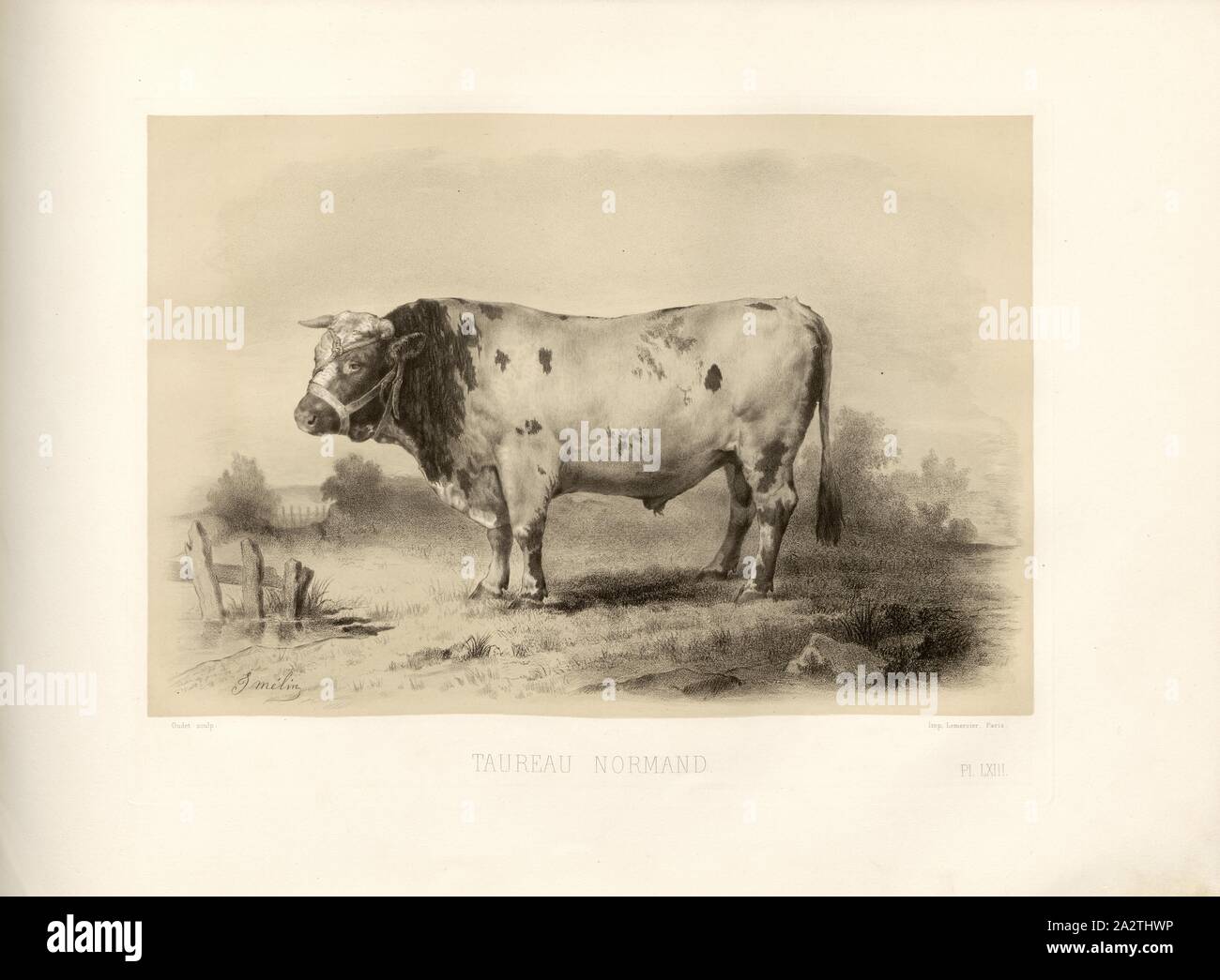 Emile norman hi-res stock photography and images - Alamy
