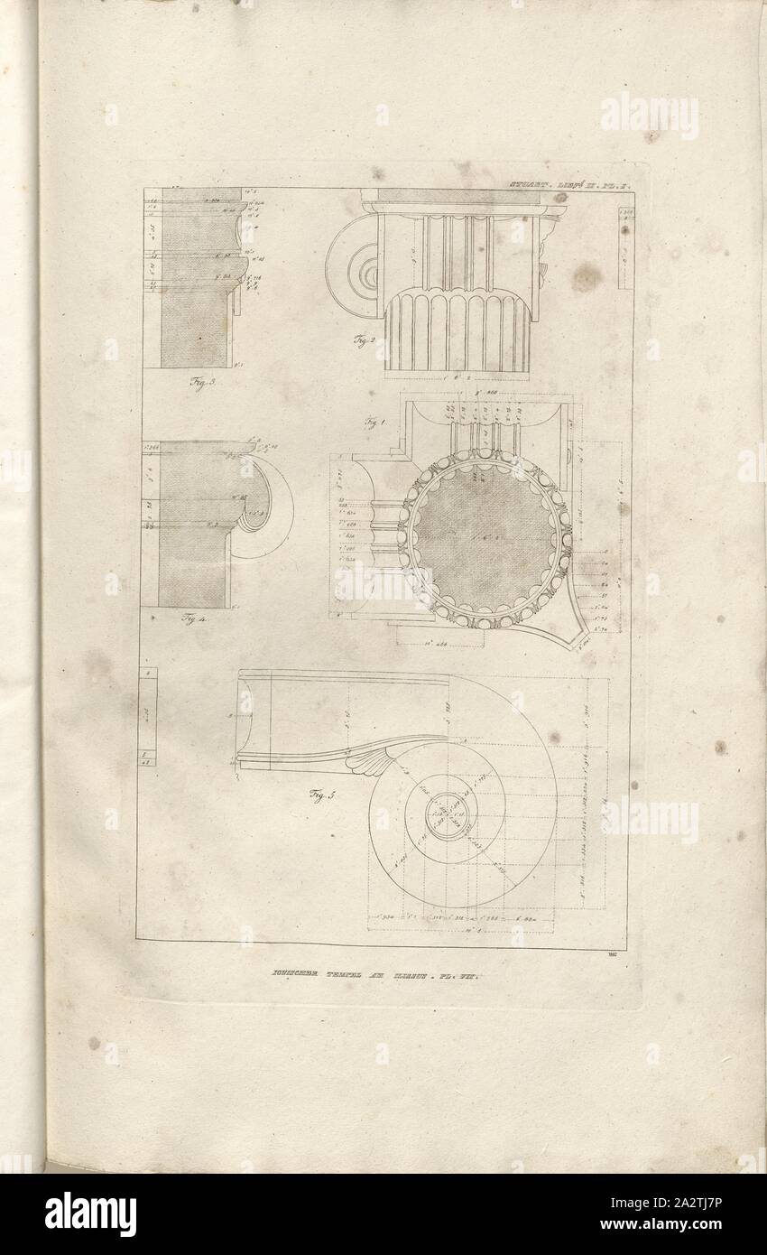 Lief ii hi-res stock photography and images - Alamy