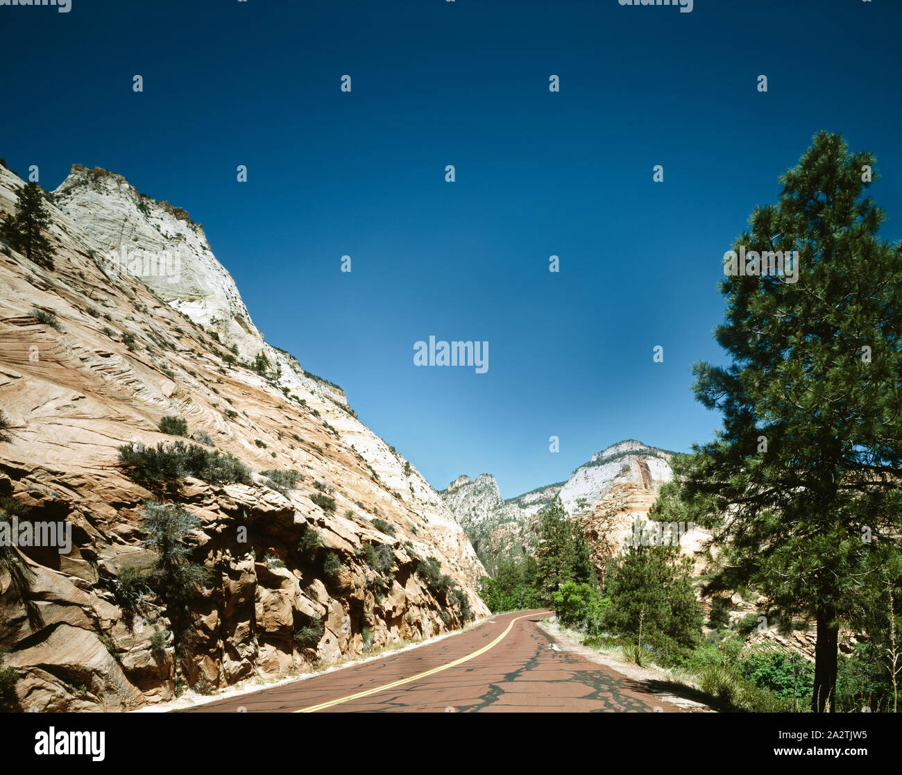 Red Road through Zion National Park, Utah Stock Photo - Alamy