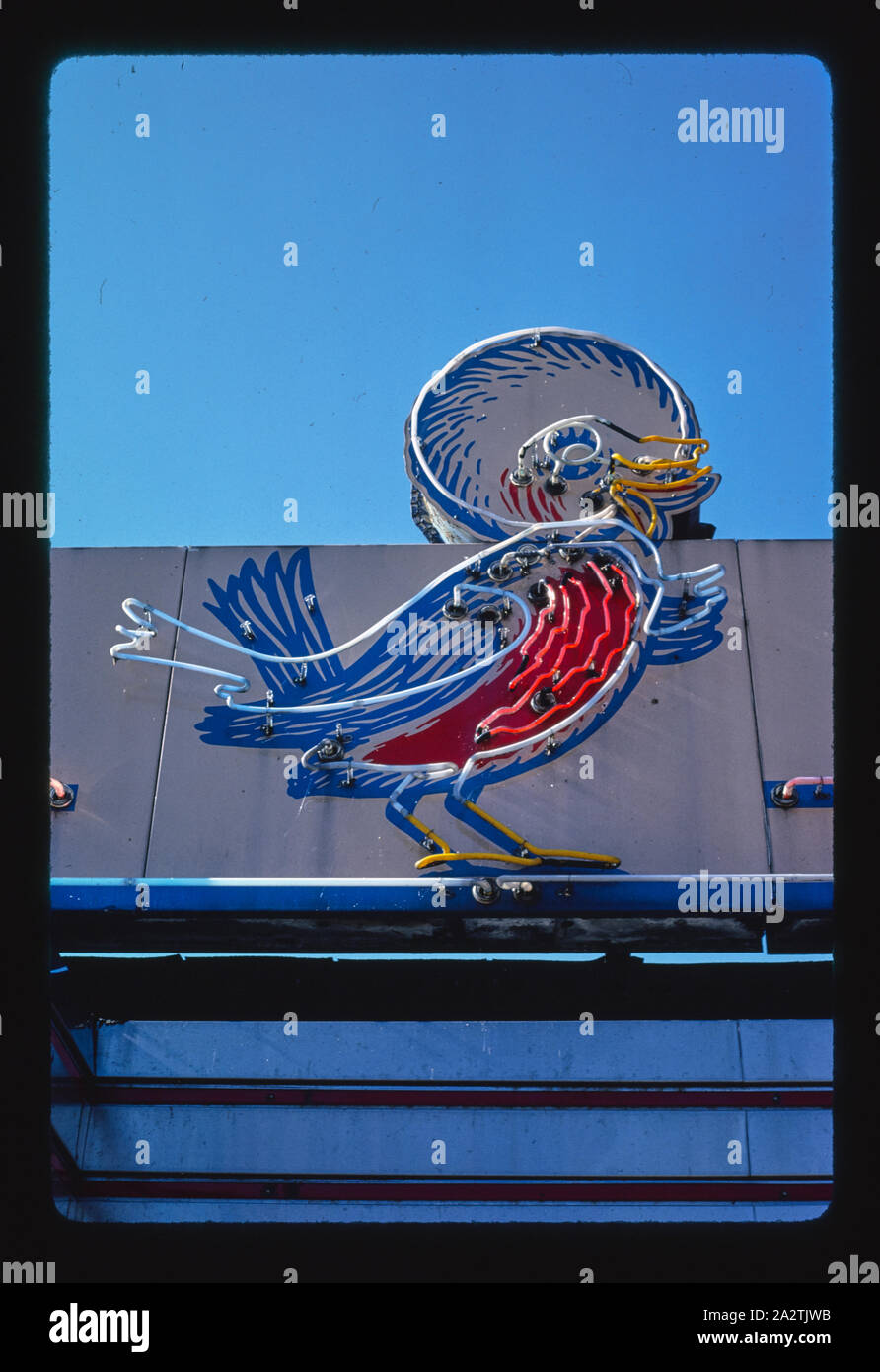 Red Robin Diner sign, Johnson City, New York Stock Photo - Alamy Red Robin Diner sign, Johnson City, New York Stock Photo - Alamy