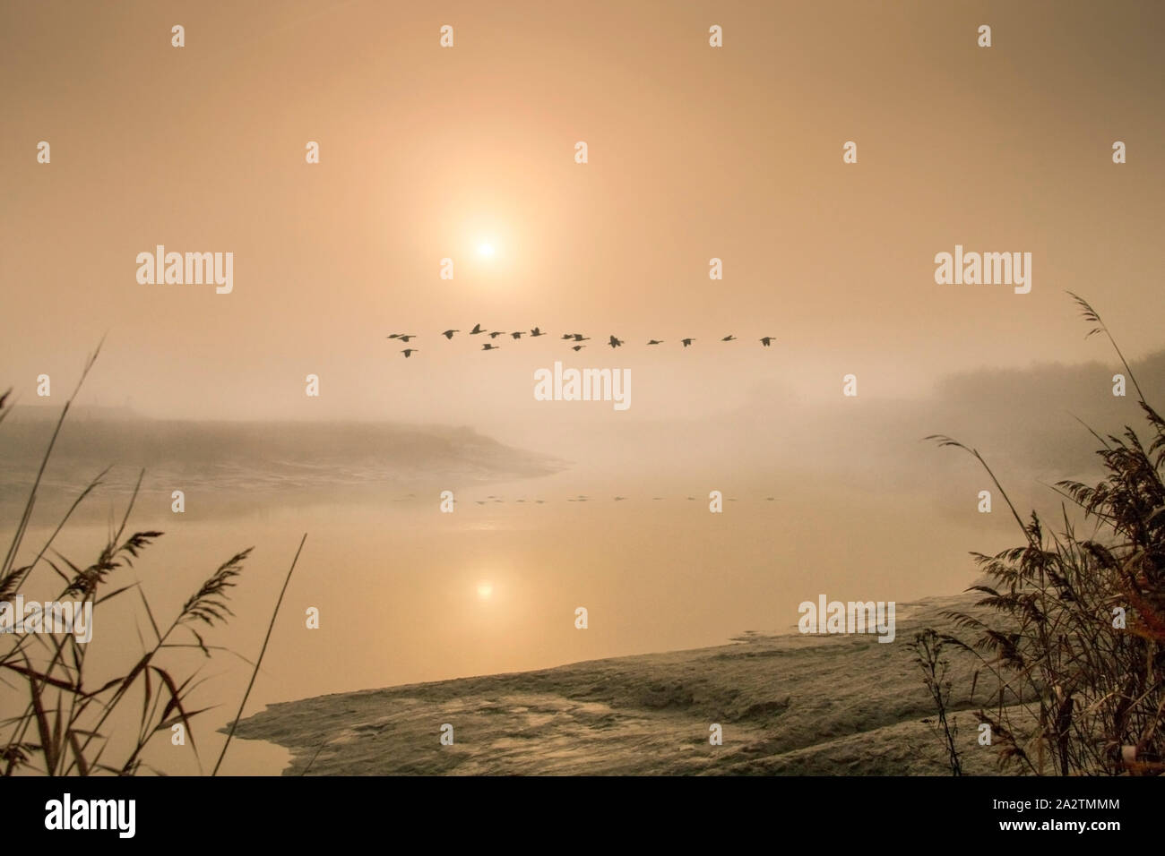 Flying rivers and wings hi-res stock photography and images - Alamy