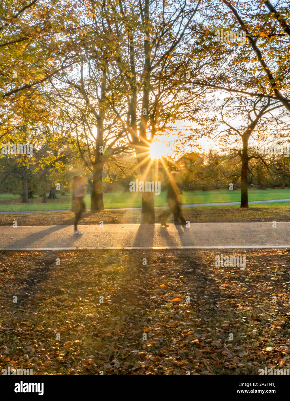 autumn stoll in the park Stock Photo - Alamy