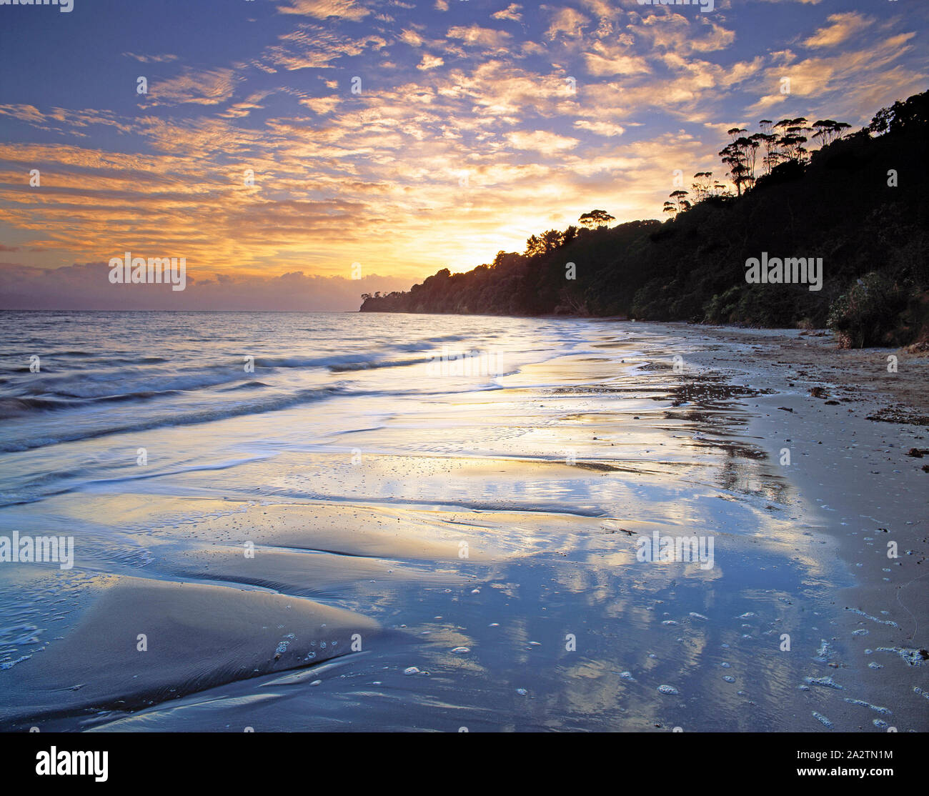 New Zealand. Auckland. Beach scene at dusk Stock Photo - Alamy