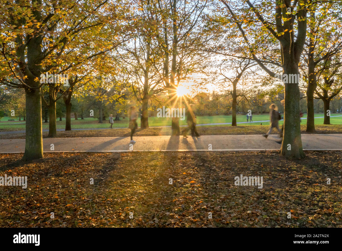 Stroll in the park hi-res stock photography and images - Alamy