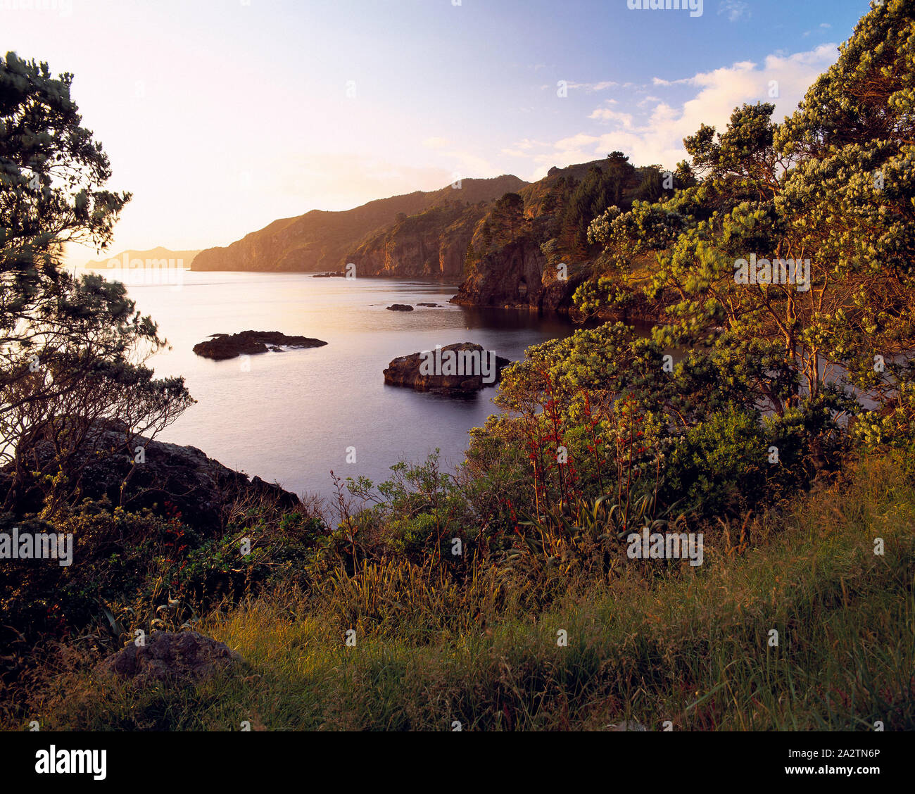 New Zealand. Coromandel Peninsula. View of bay Stock Photo - Alamy