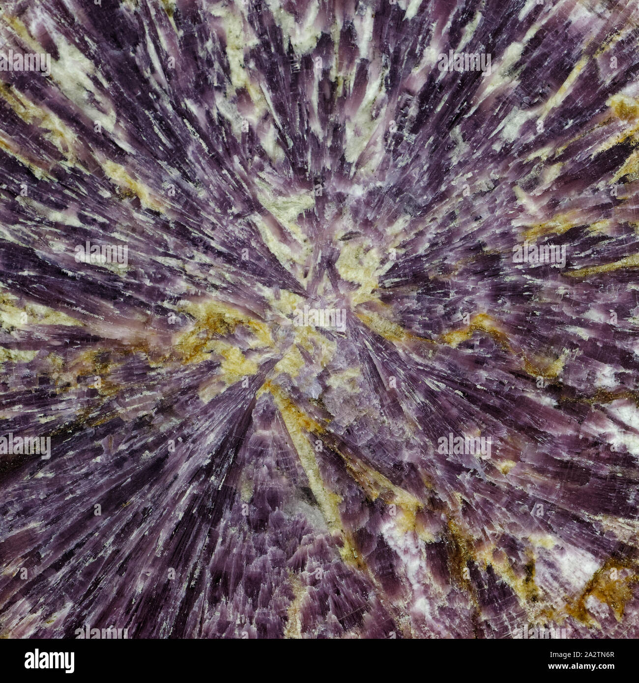 Backgrounds and textures: surface of beautiful purple decorative stone ...