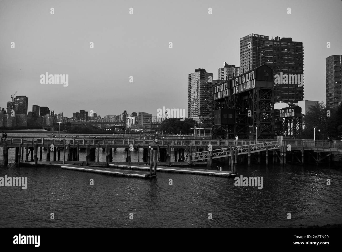 Hunters Point Community Library, designed by Steven Holl Architects ...