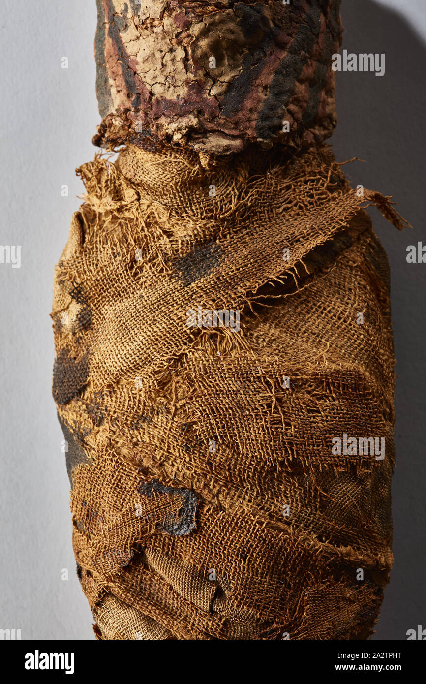 mummified hawk, Egyptian, 1550-1370 B.C.E., mummified hawk, oil, resin ...