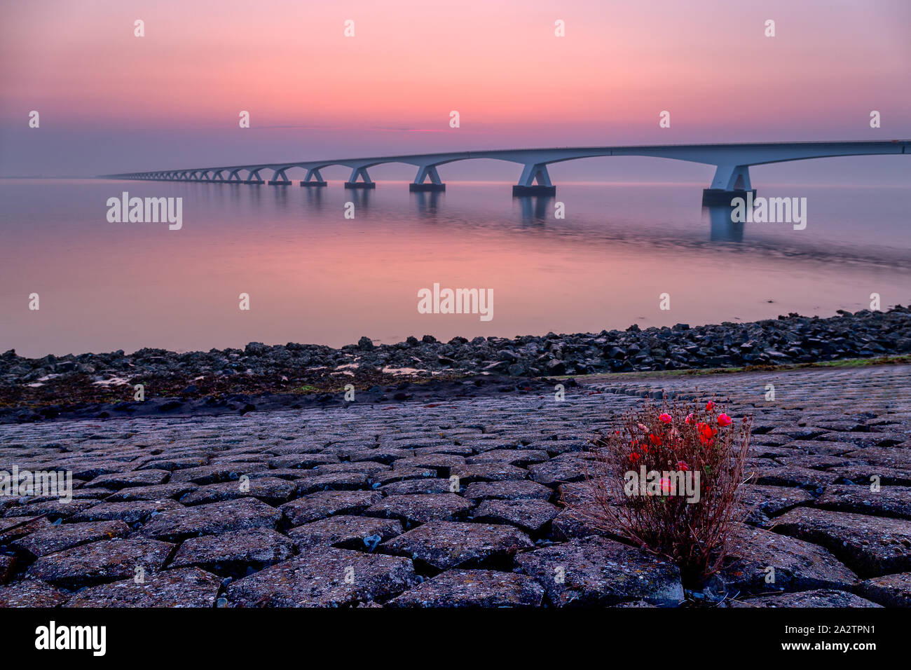 The Zeeland Bridge, lokally known as Zeelandbrug is with 5022 metres ...
