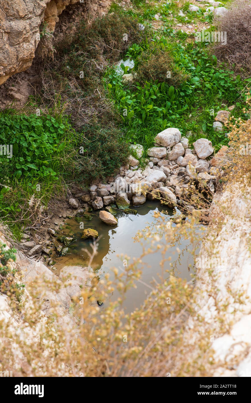 puddle with stones in the desert of israel Stock Photo - Alamy