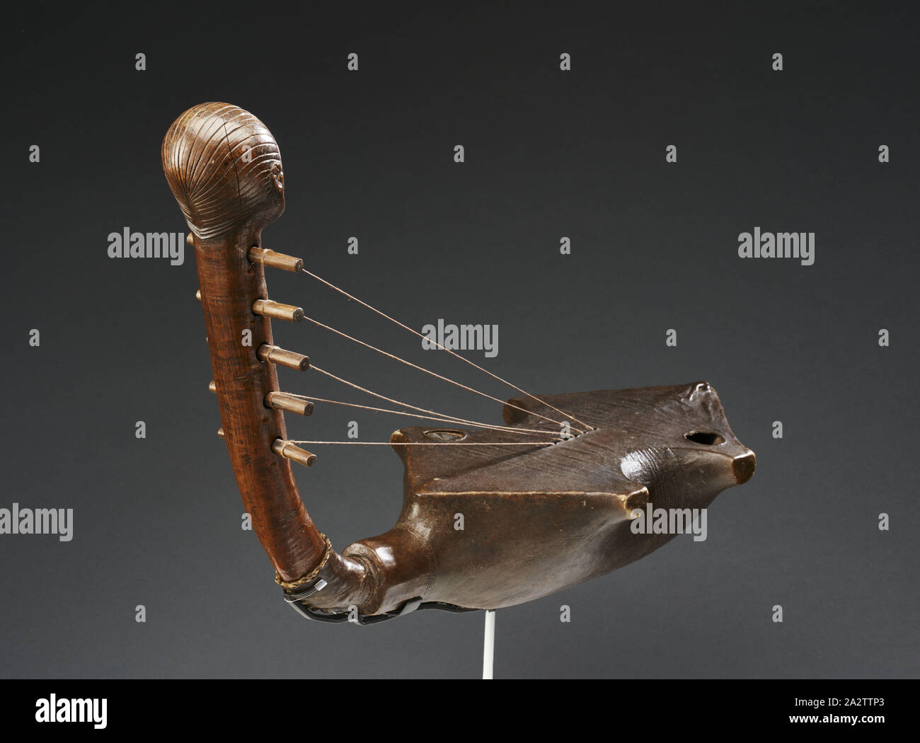 harp, Zande people, early 20th century, wood, skin, fiber, iron, 25-3/4 ...