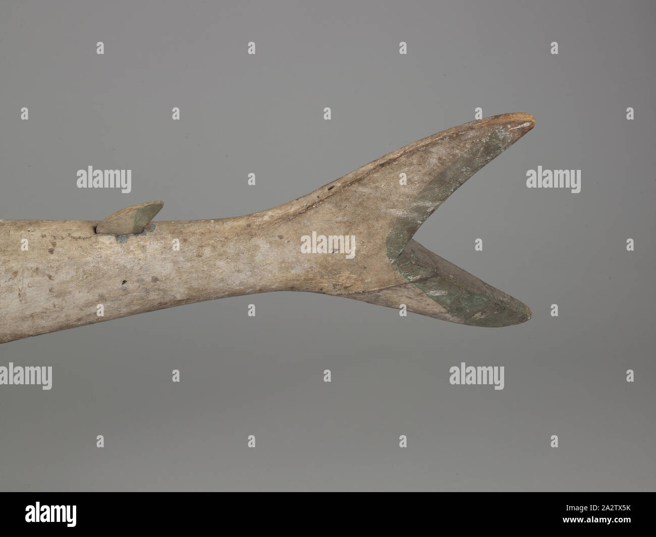 Shark form hi-res stock photography and images - Alamy