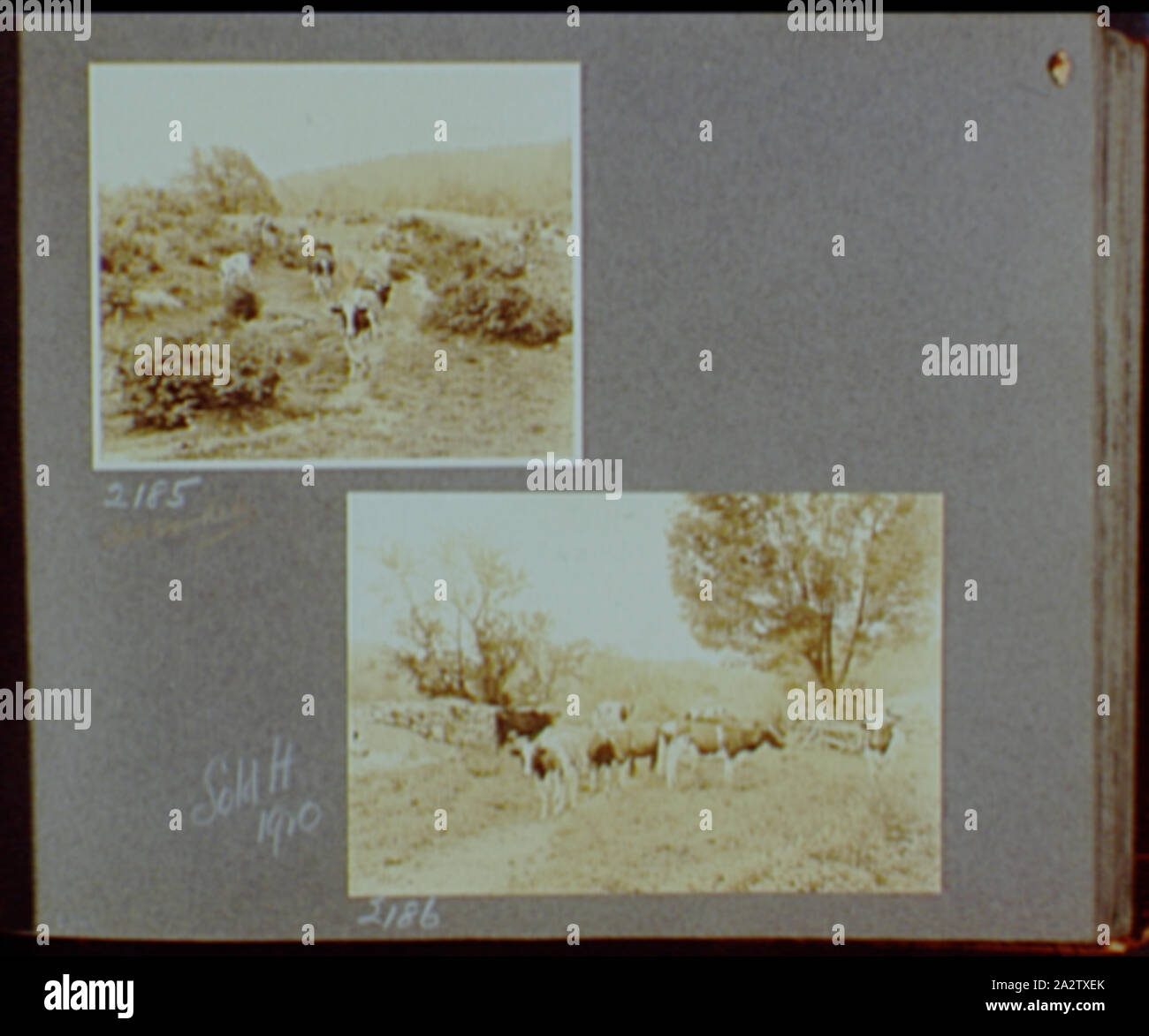 History of numbers hi-res stock photography and images - Alamy