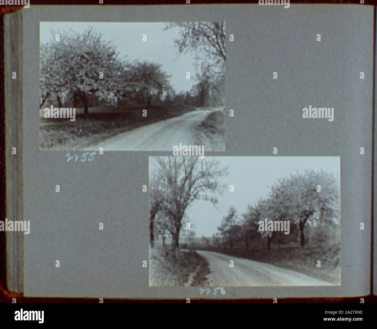 1919 prints hi-res stock photography and images - Alamy