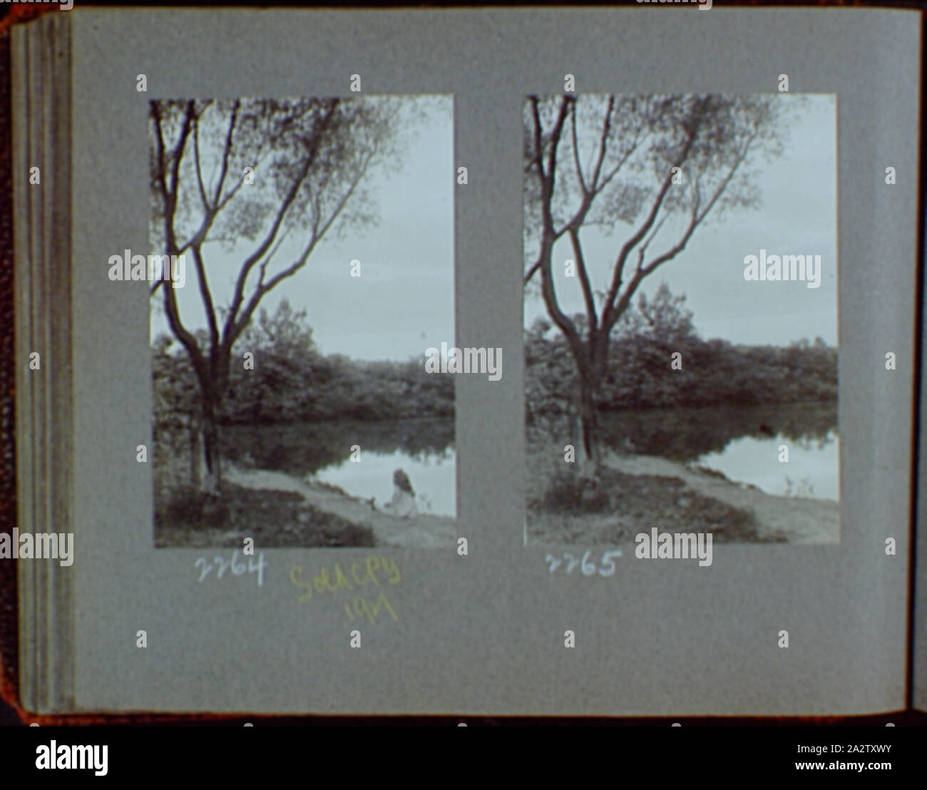 Reference prints, 1919-1920, numbers 2133-2377 Stock Photo - Alamy