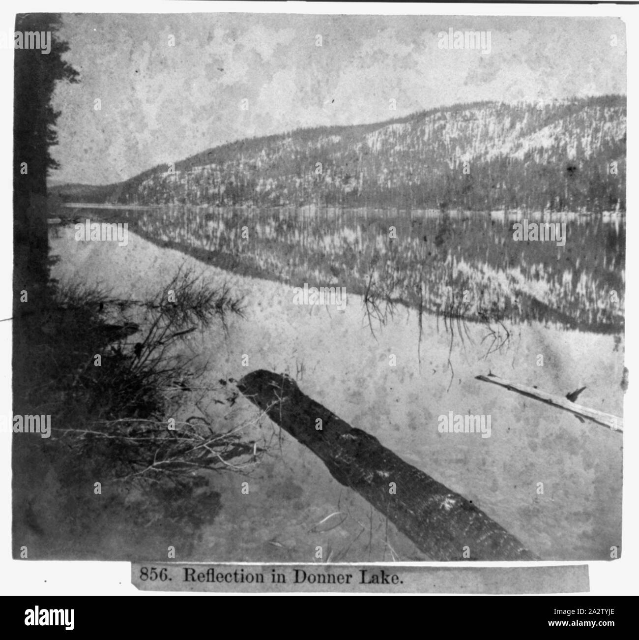 Donner lake Black and White Stock Photos & Images - Alamy