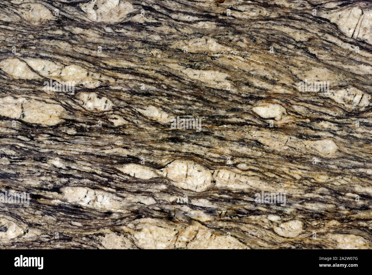 Decorative spot hi-res stock photography and images - Alamy