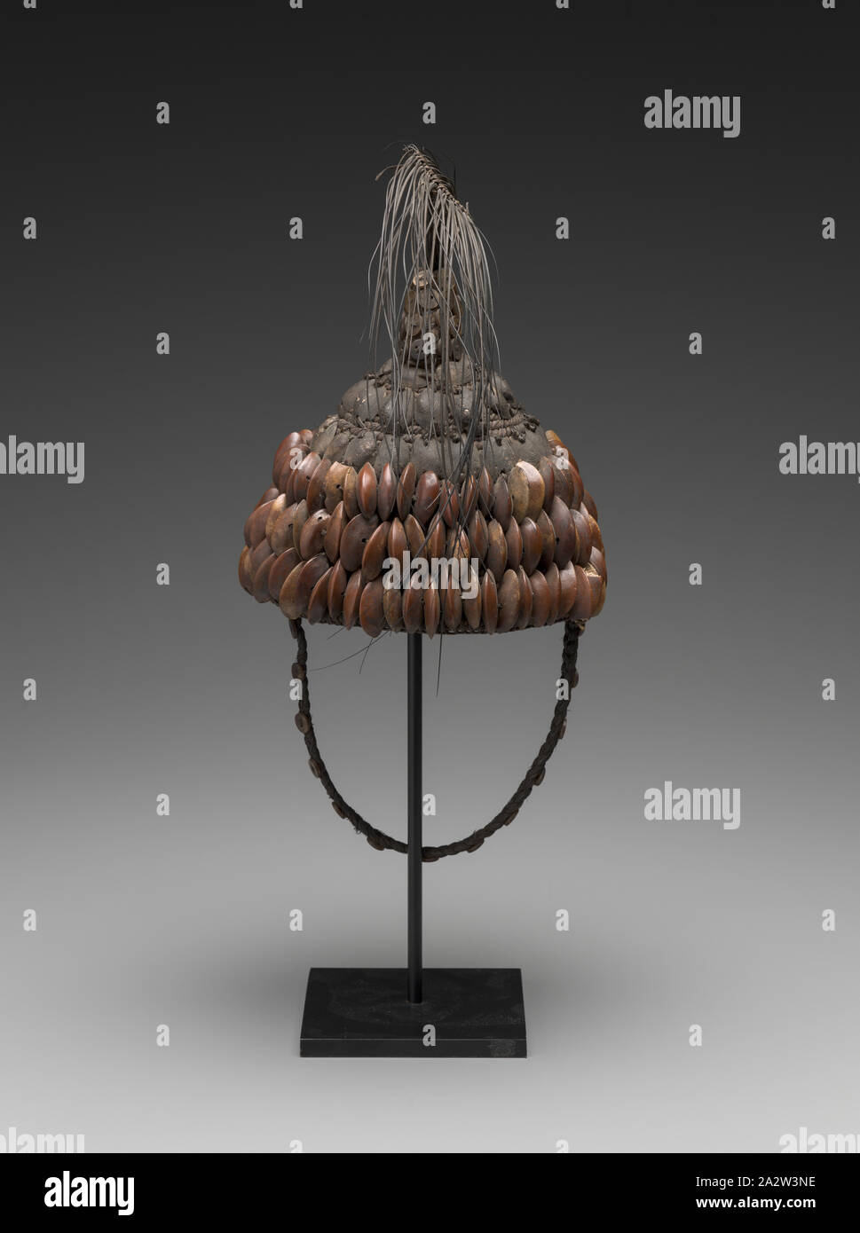 Entada rheedii seeds hi-res stock photography and images - Alamy