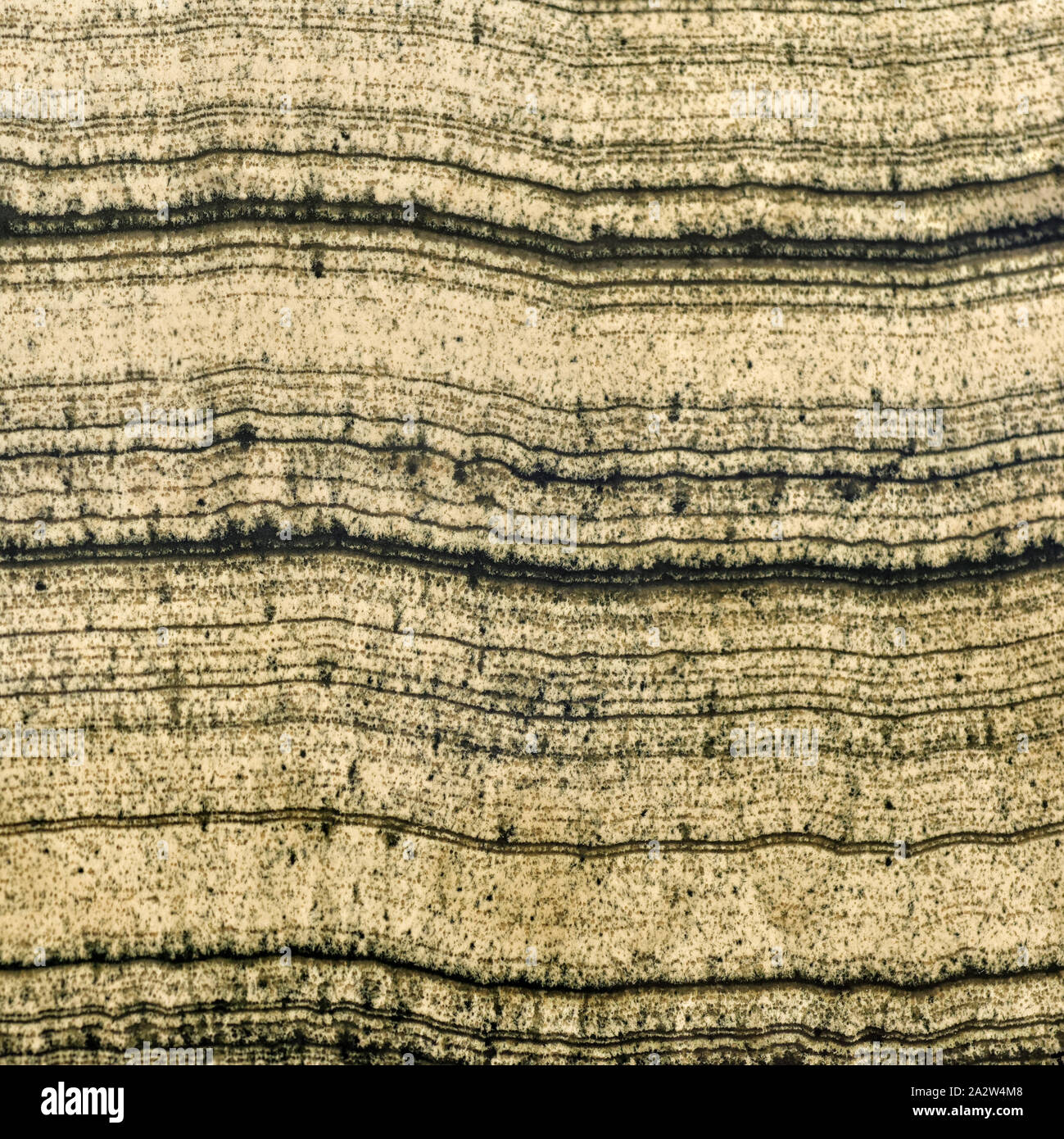 Parallel lines hi-res stock photography and images - Alamy