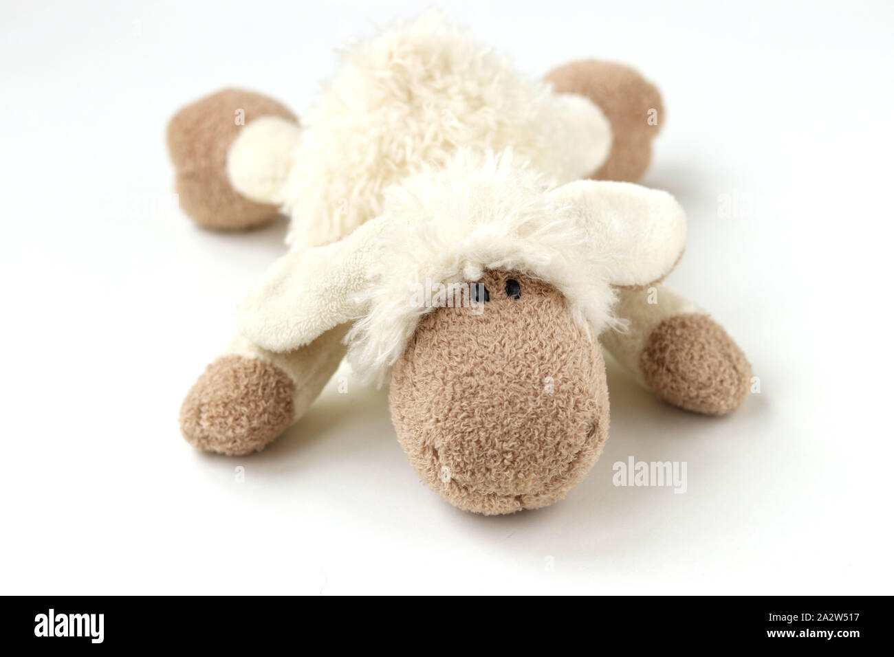 Soft toy sheep isolated on white background Stock Photo - Alamy