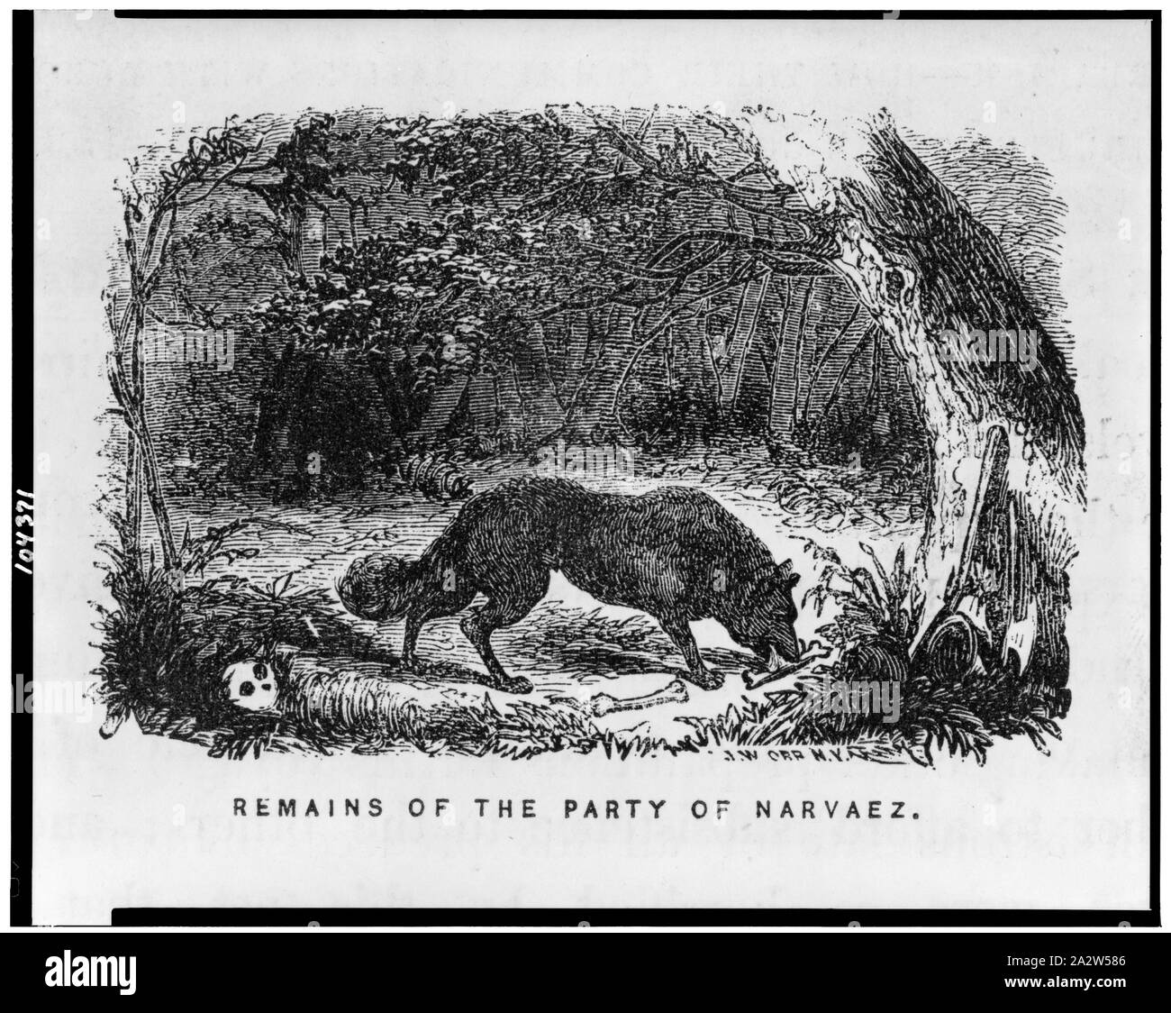 Expedition party Cut Out Stock Images & Pictures - Alamy