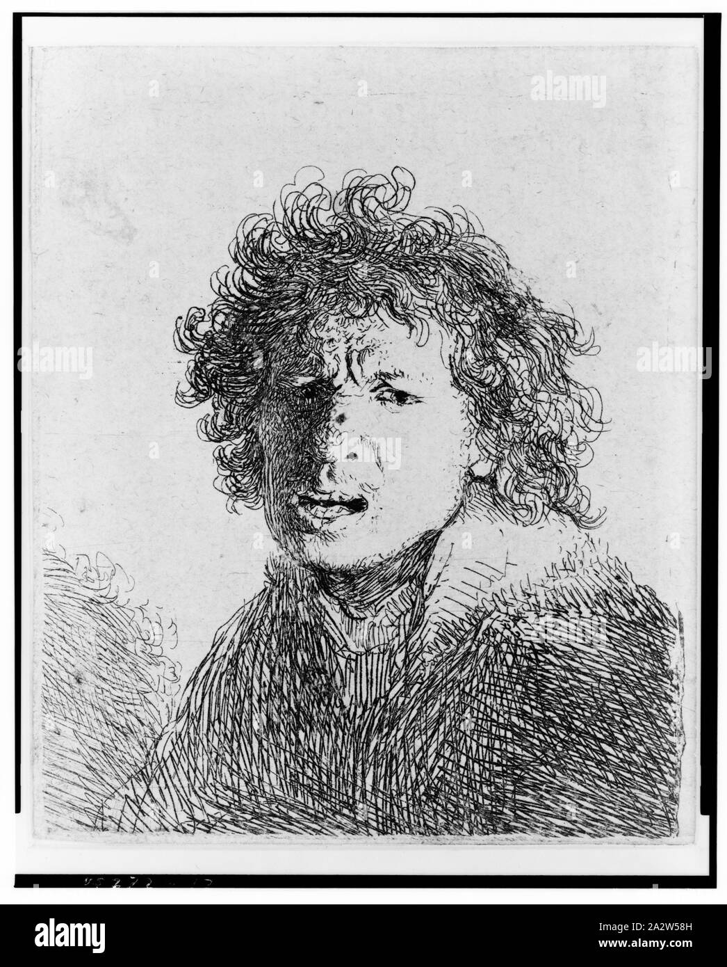 Rembrandt angry, bust Stock Photo - Alamy
