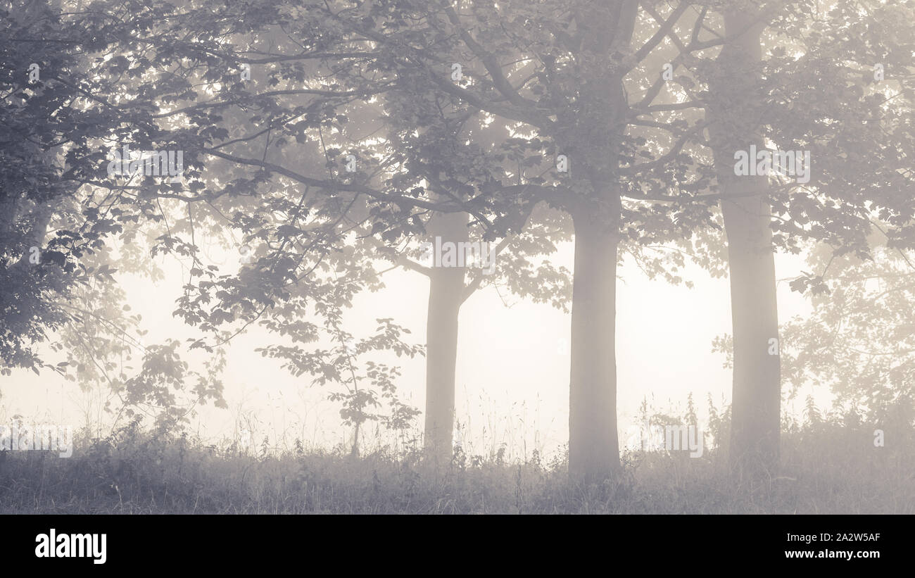 Mundane scene hi-res stock photography and images - Alamy