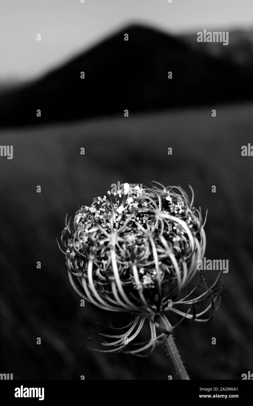 Triangle in circle Black and White Stock Photos & Images - Alamy