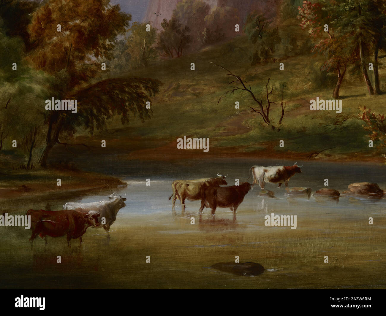 58 1 4 x 38 3 4 hi-res stock photography and images - Alamy