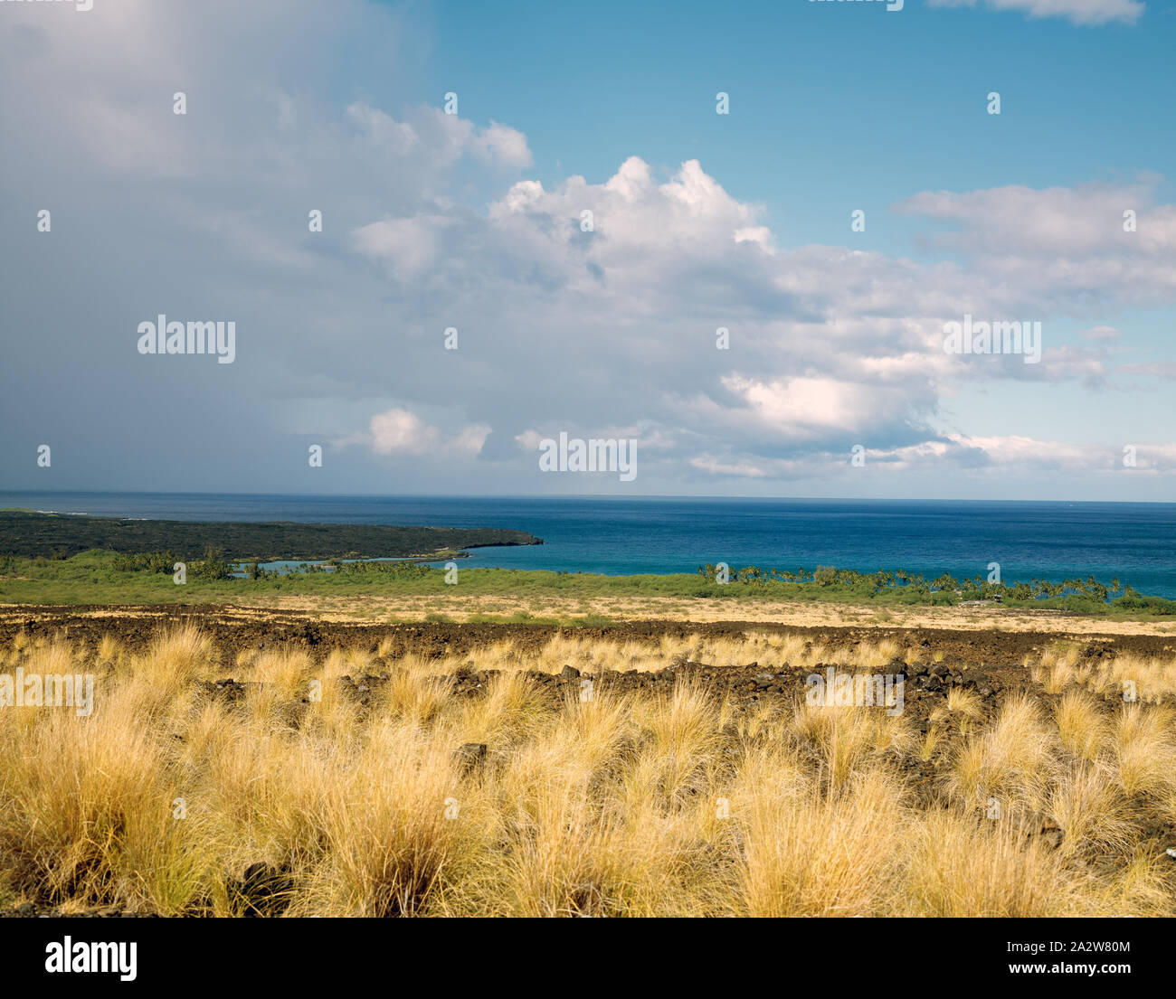 Remote seashore on Oahu, Hawaii Stock Photo - Alamy