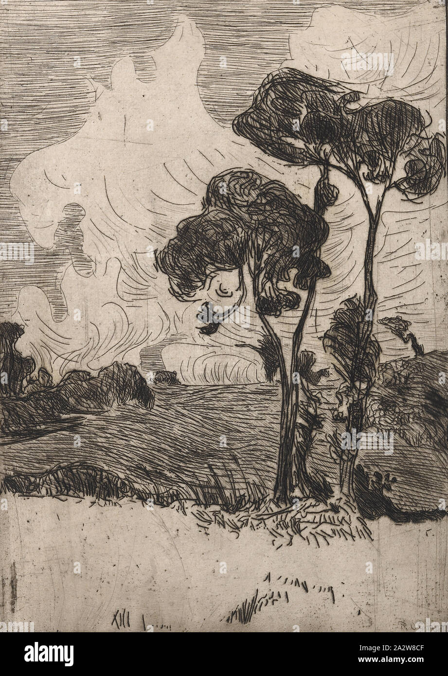 Deux grands arbres hi-res stock photography and images - Alamy