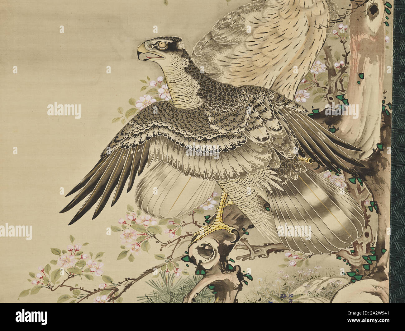 Japanese Hawk Painting
