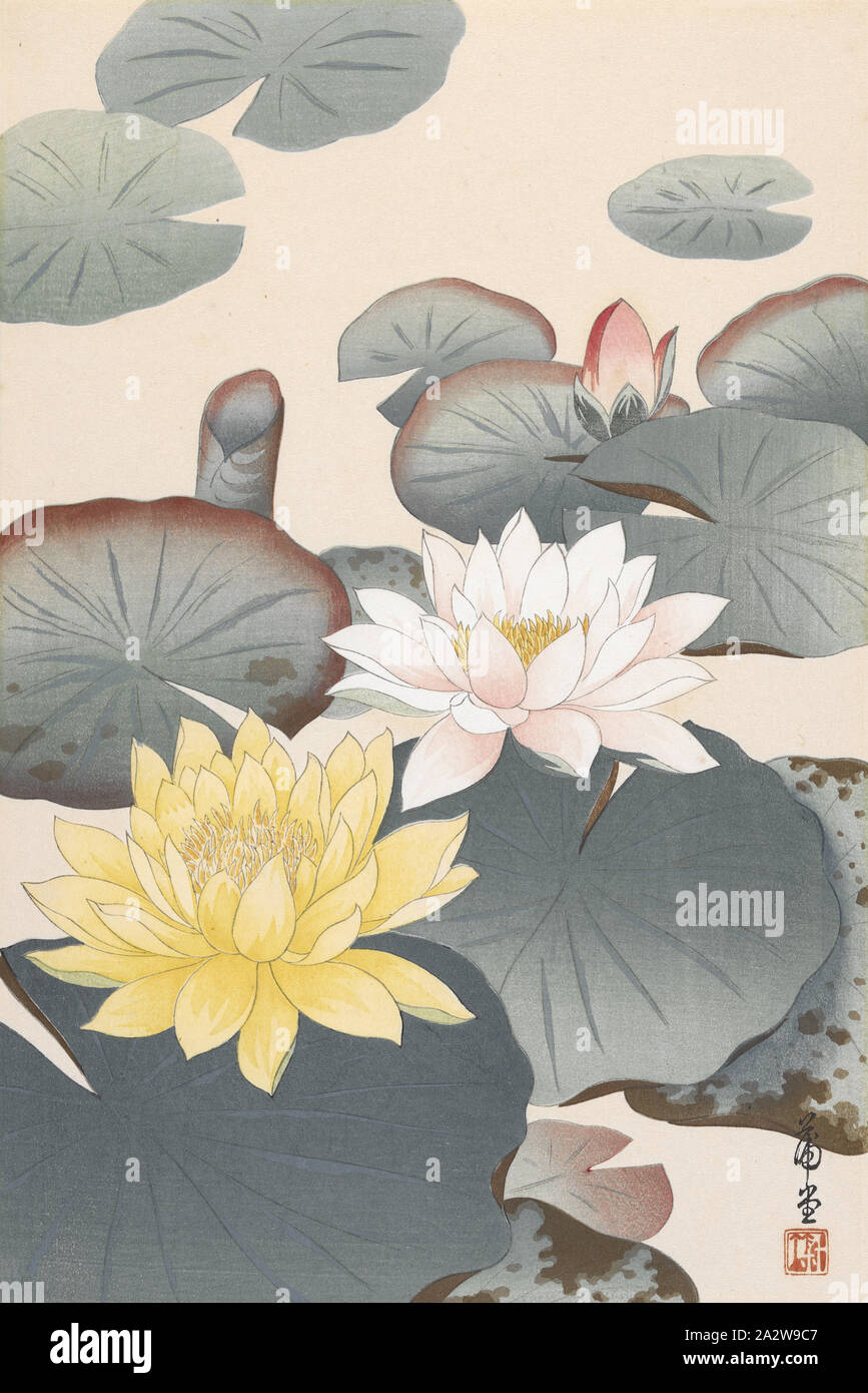 Nishimura hodo hi-res stock photography and images - Alamy