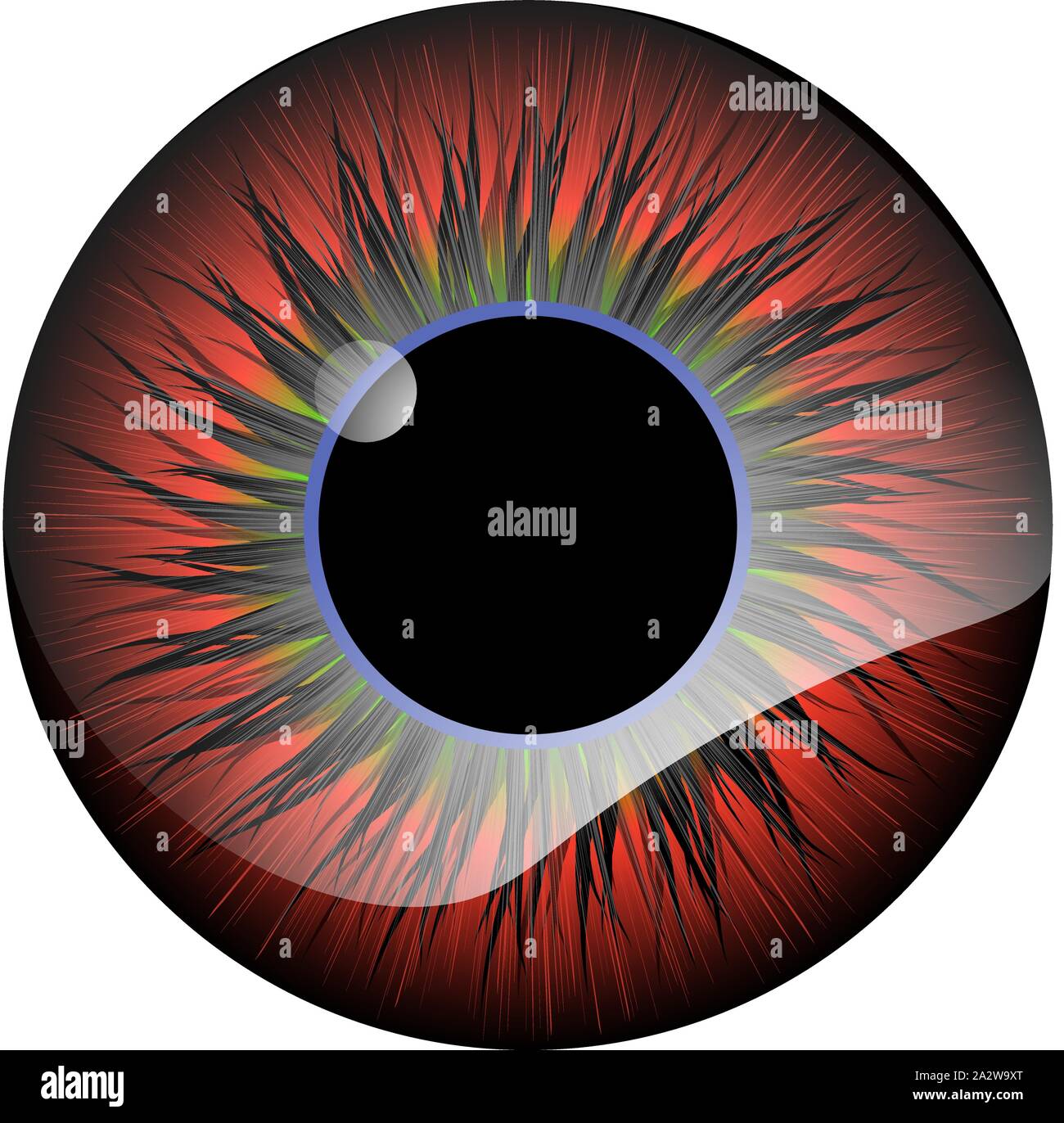 Vector illustration of human eye Stock Vector Image & Art - Alamy