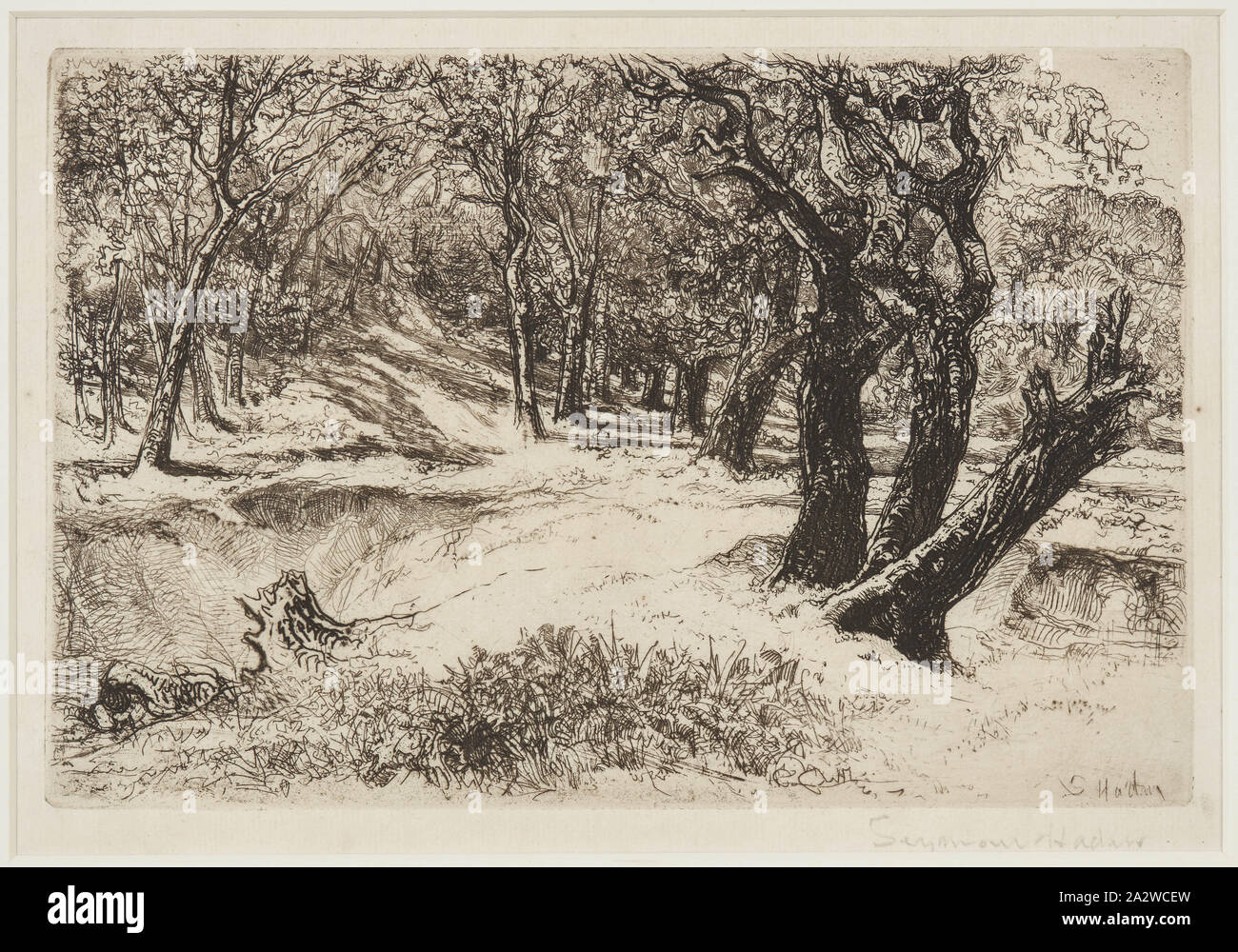 Three Sisters, Francis Seymour Haden (English, 1818-1910), 1868, ink on ...