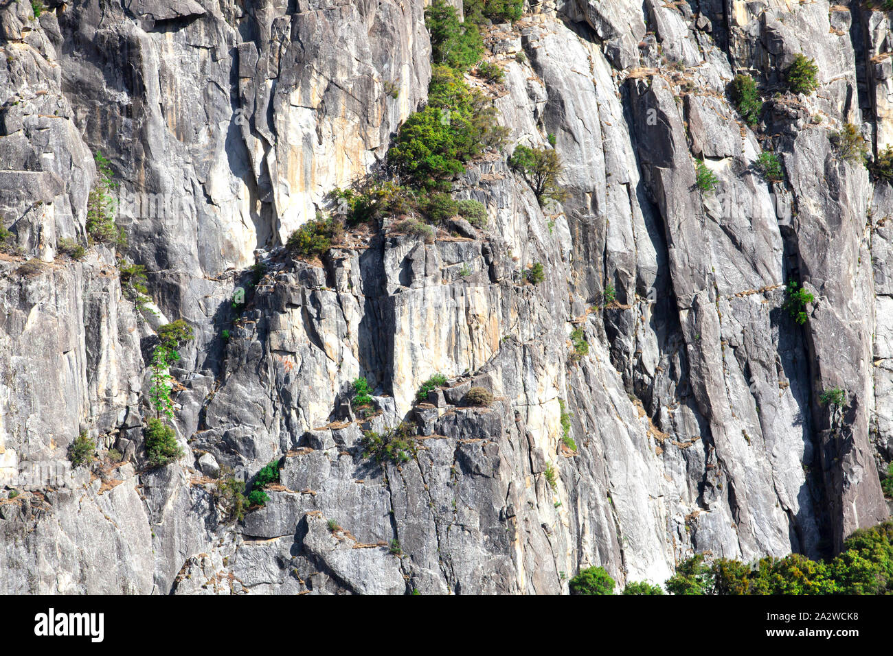 Granite formations with greenery at the entrance of Yosemite Valley ...