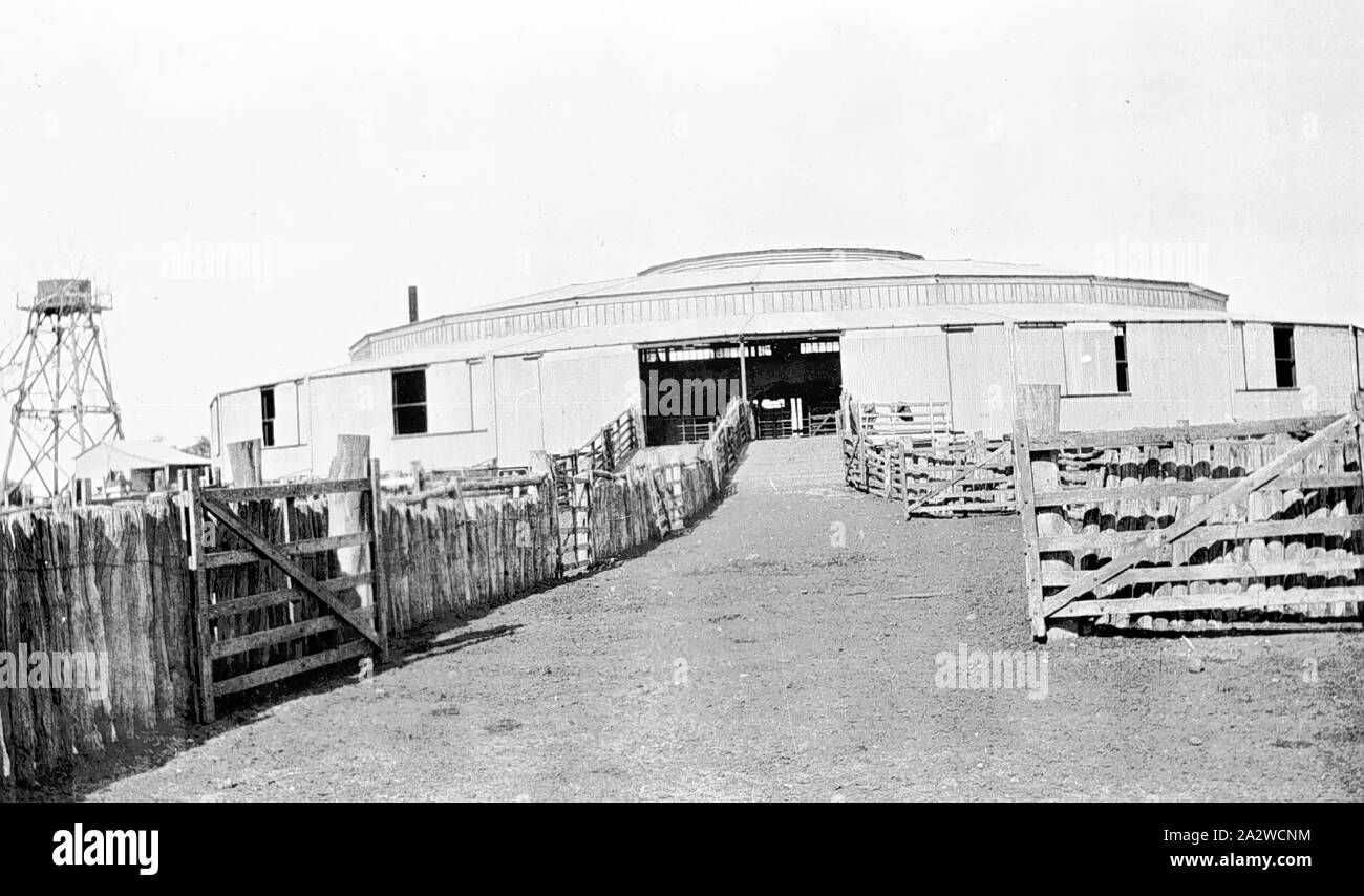 Negative - Isisford District, Queensland, 1936, The round woolshed on ...