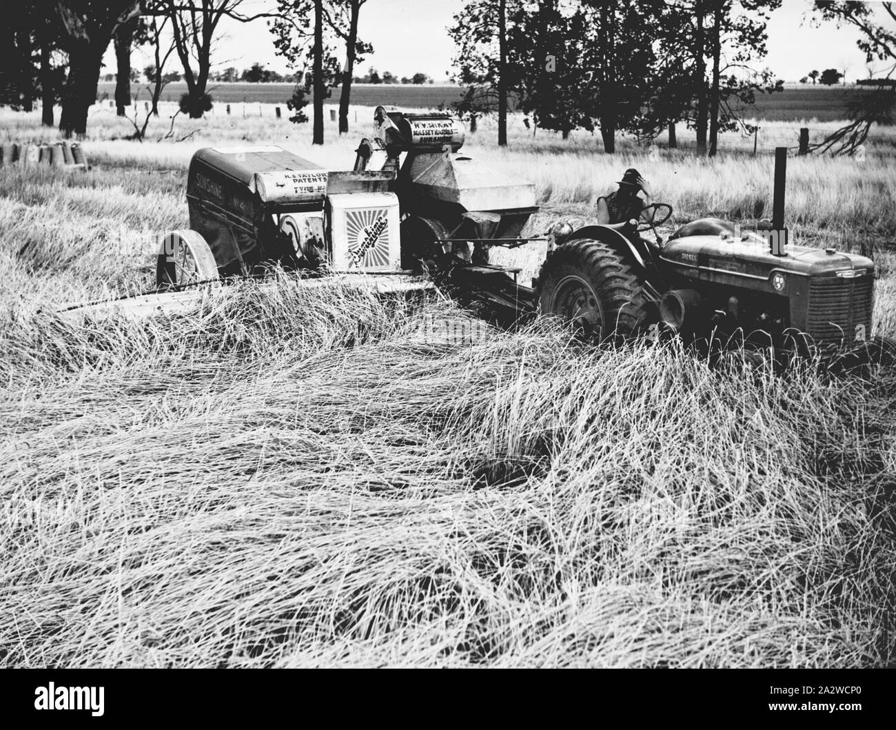 Bencubbin hi-res stock photography and images - Alamy